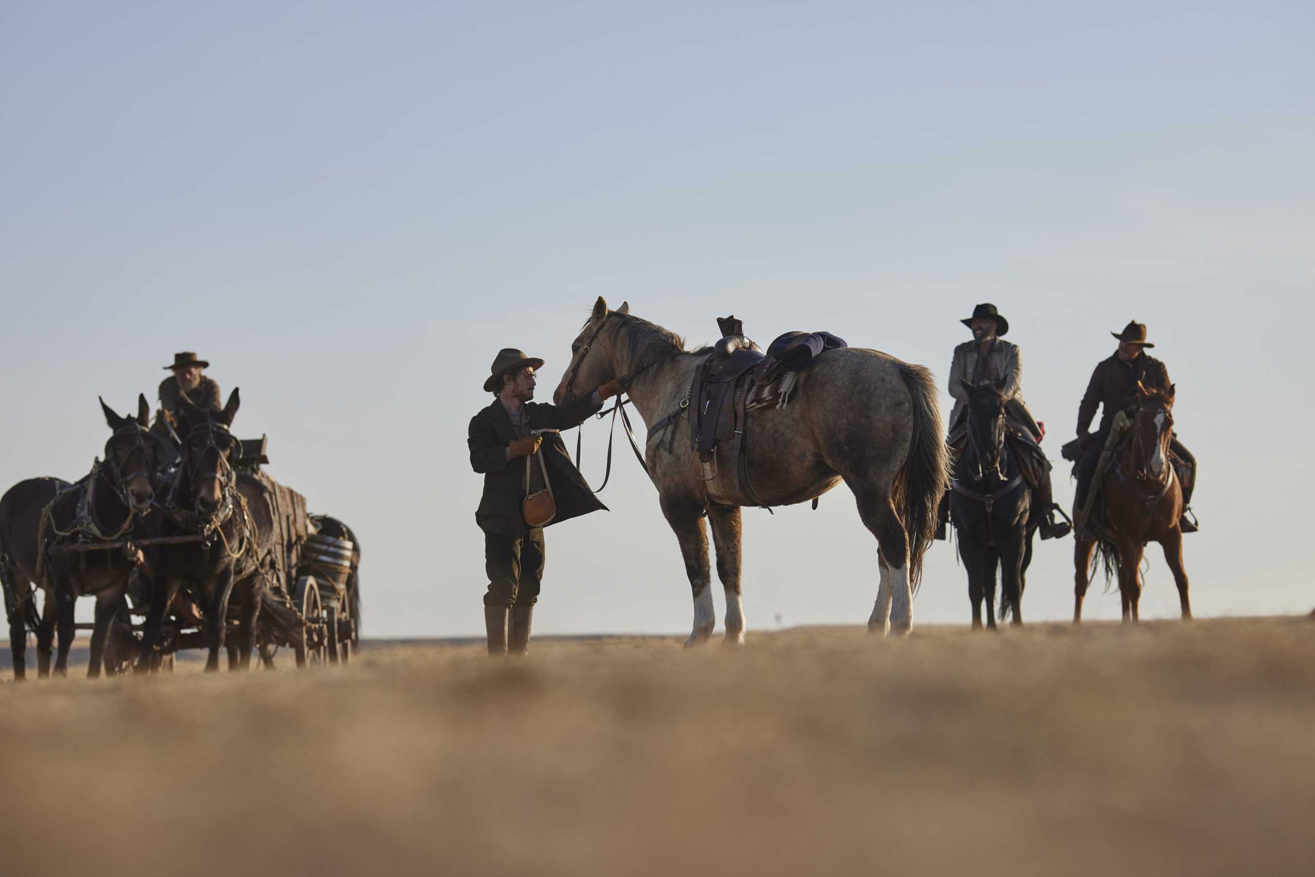 'Butcher’s Crossing' Blu-Ray Review - Nicolas Cage Western Does Not ...