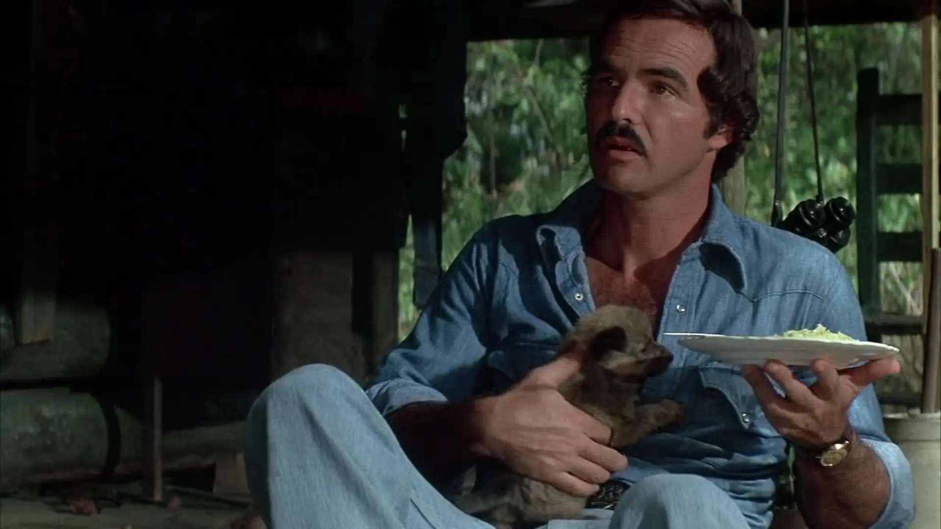 'Gator' (Special Edition) Blu-Ray Review - A Spirited Directorial Debut ...