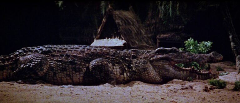 'Crocodile' Blu-Ray Review - A Schlocky Giant Creature Feature