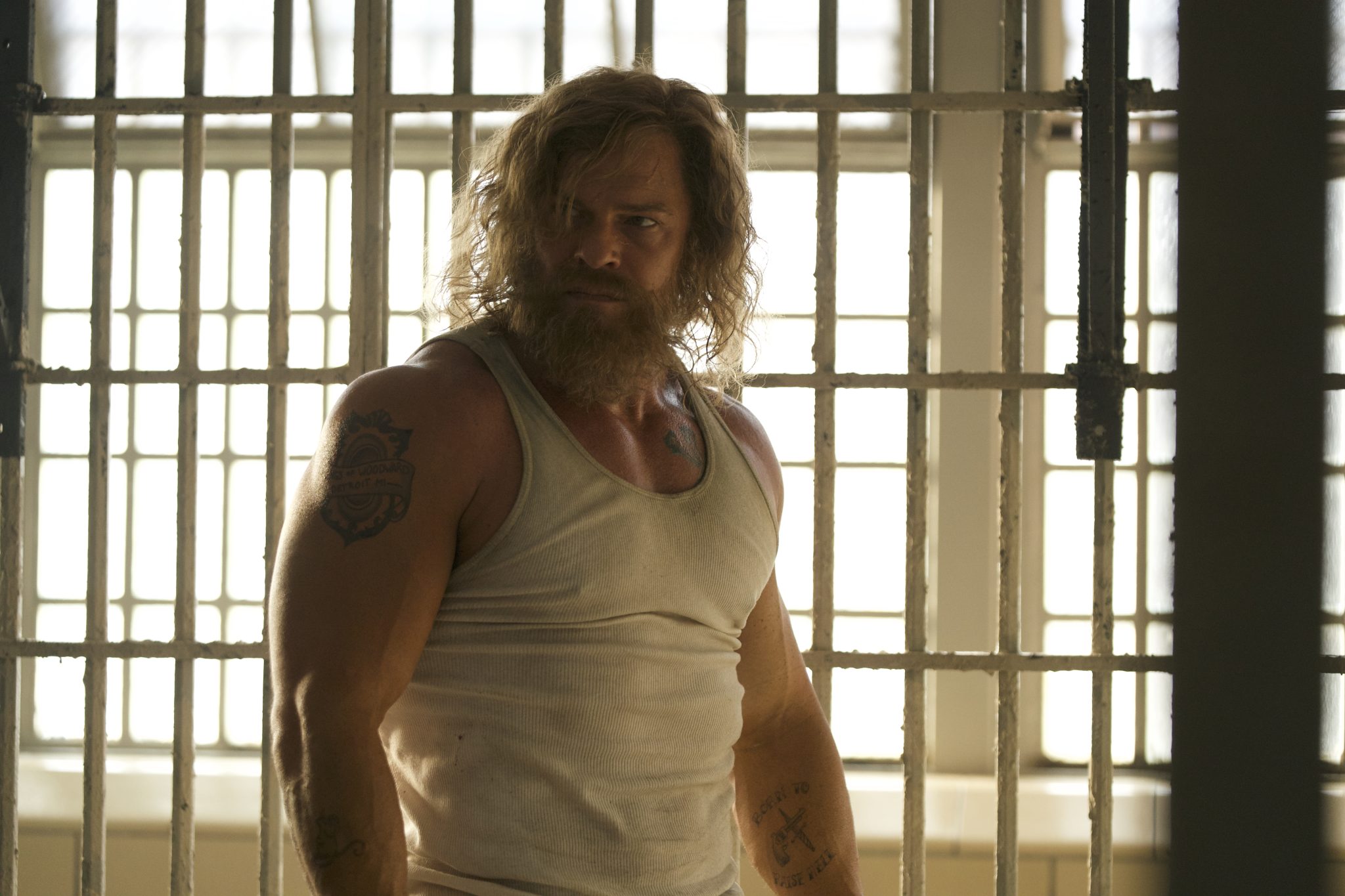 IFC, Shudder & RLJE Unveil Stacked 2026 Slate
